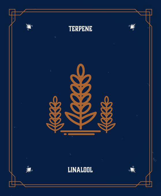 What Are Cannabis Terpenes? | Elevate Cannabis