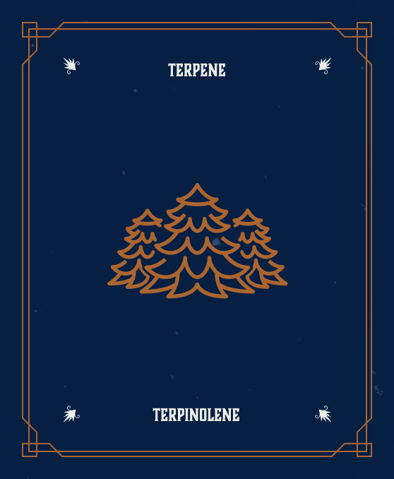 What Are Cannabis Terpenes? | Elevate Cannabis