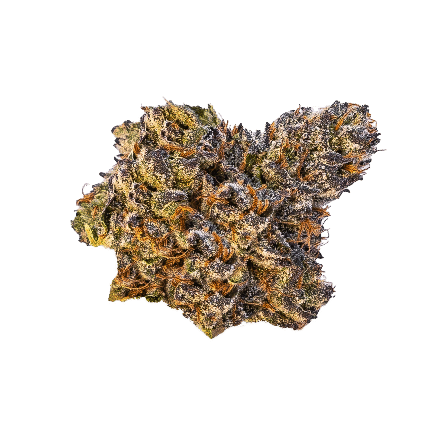 Elevate Weed Strains: Premium Cannabis Strains for Everyone