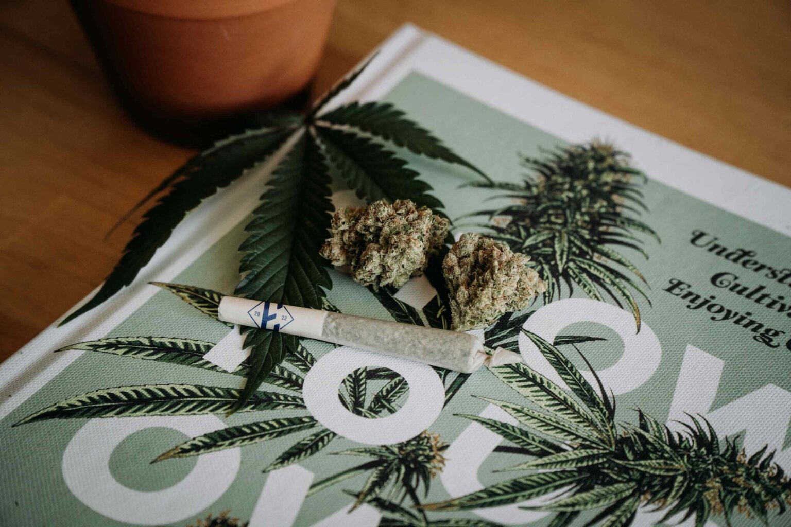 What is the Meaning of 420 and Where did it Come From? - Elevate Cannabis